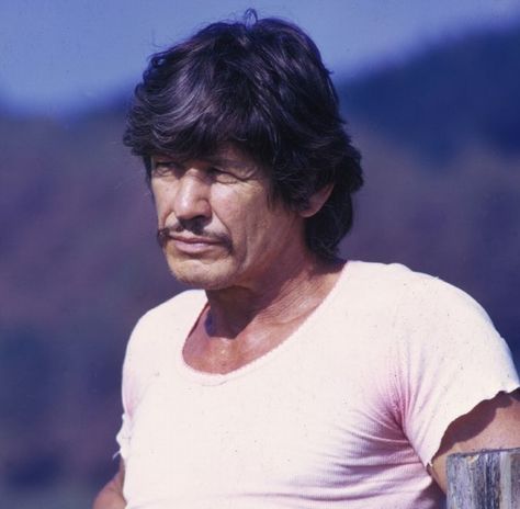 TV② | 山城紙業株式会社