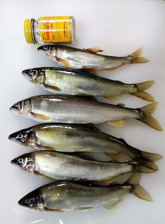 日野川 | 山城紙業株式会社